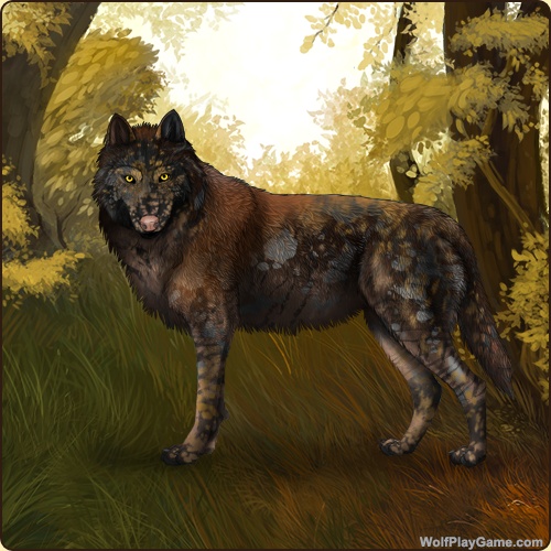 Wolf Play - Online Wolf Game!